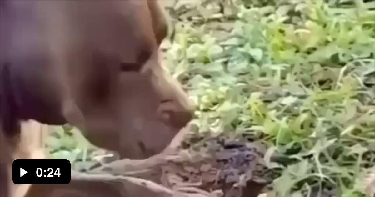 Dude you can’t be…come on - 9GAG