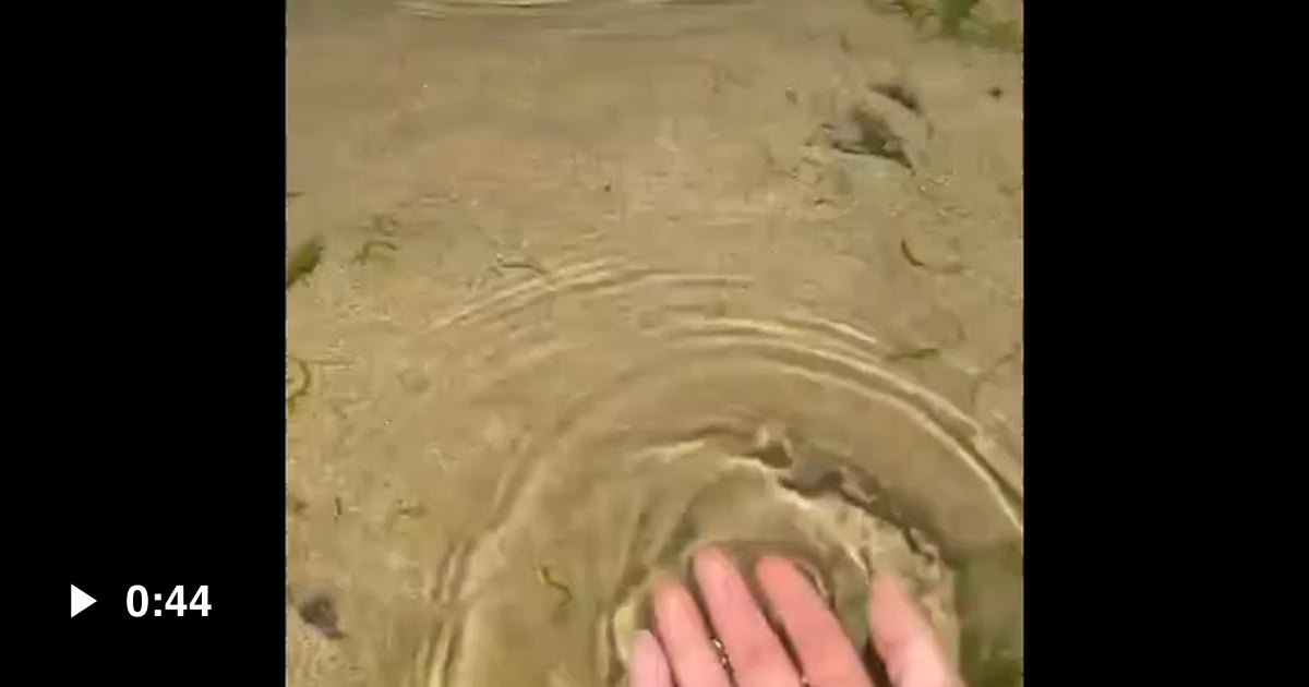 Hello sir please eat me - 9GAG