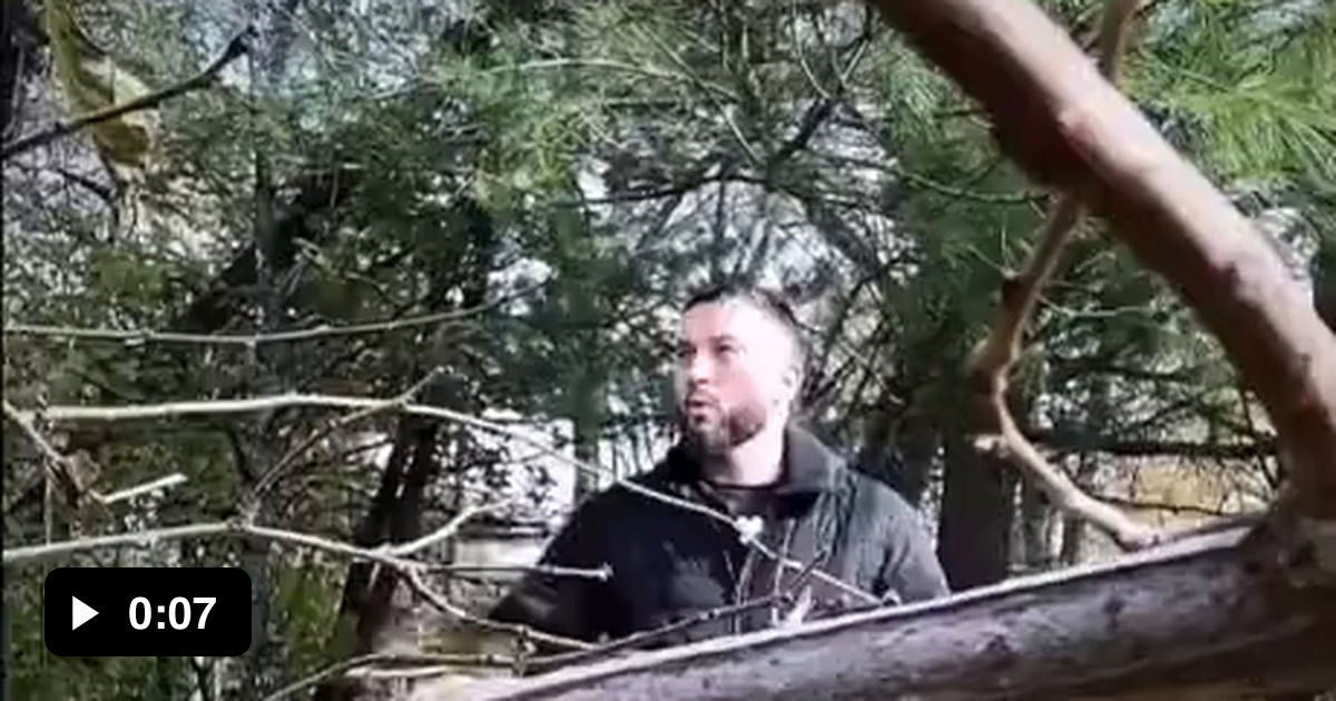 Is that a mockingbird? - 9GAG