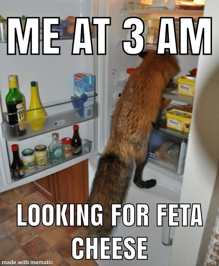 It’s the best cheese. 🦊 - 9GAG