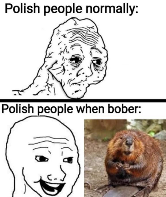 Bober makes us happy kurwa! - 9GAG
