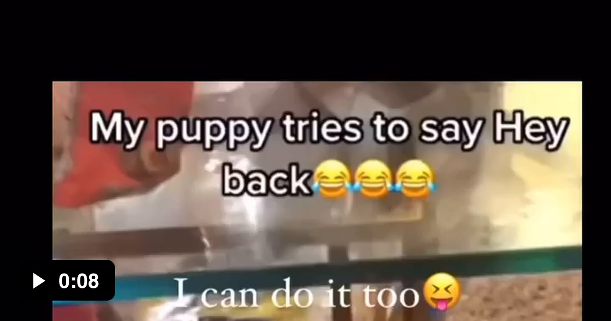 He tried to say hey back. - 9GAG