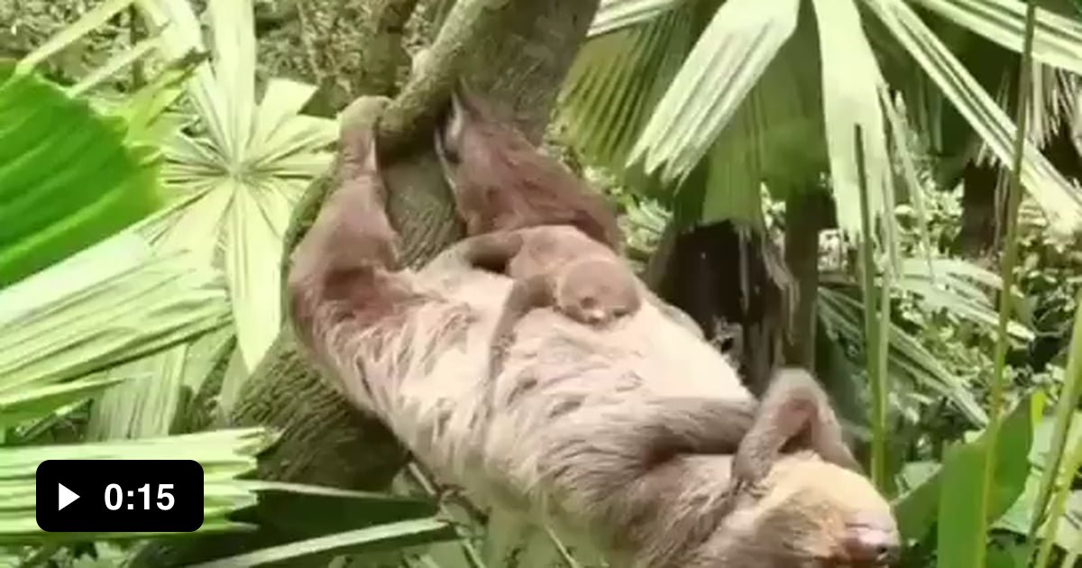 How tired are you? - 9GAG