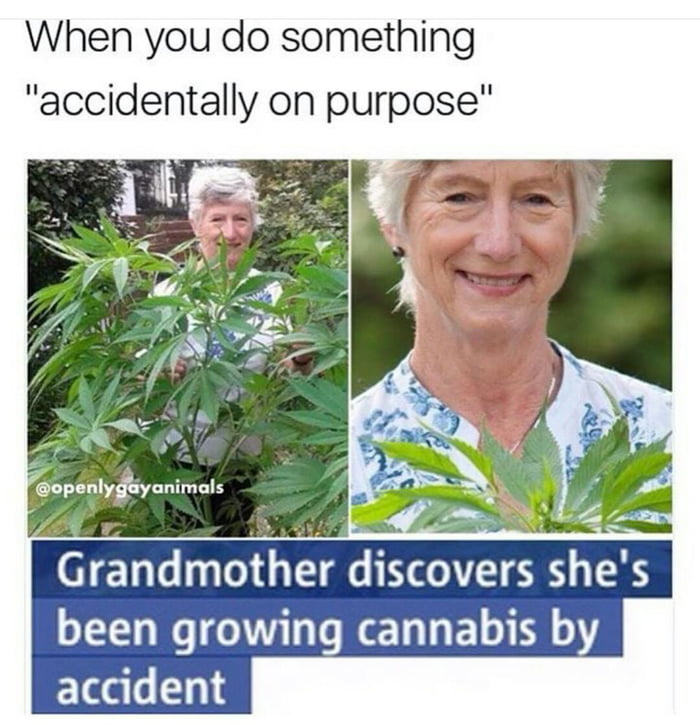 Oh granny - 9GAG
