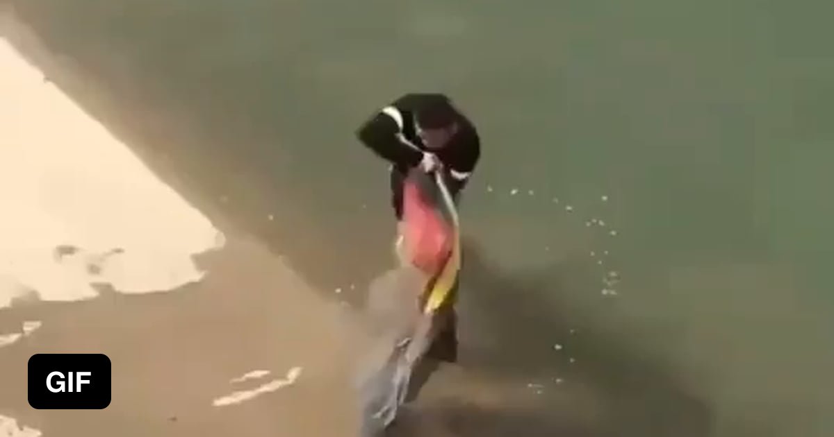 Throwing a net into the sea - 9GAG