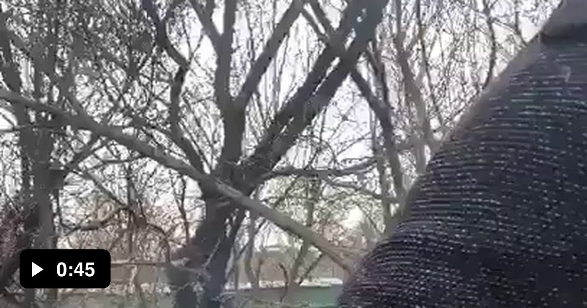 Oh, those Russians (hope it's not too racist) - 9GAG