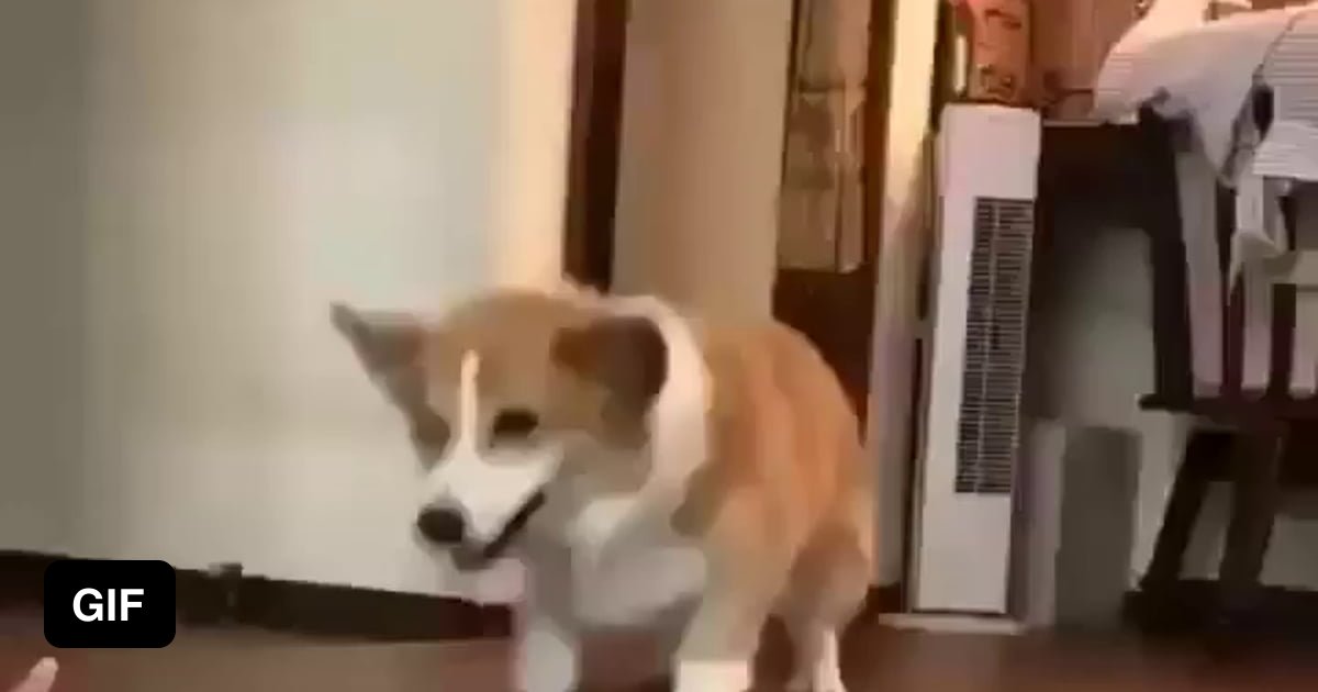 Tippy-tappy time - 9GAG