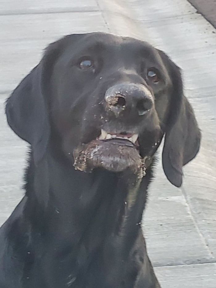 Muh boi when I tell him hes going to be a meme for the new year - 9GAG