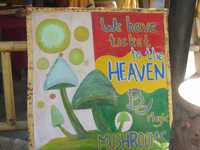 Magic mushroom advertisement in Indonesia - 9GAG