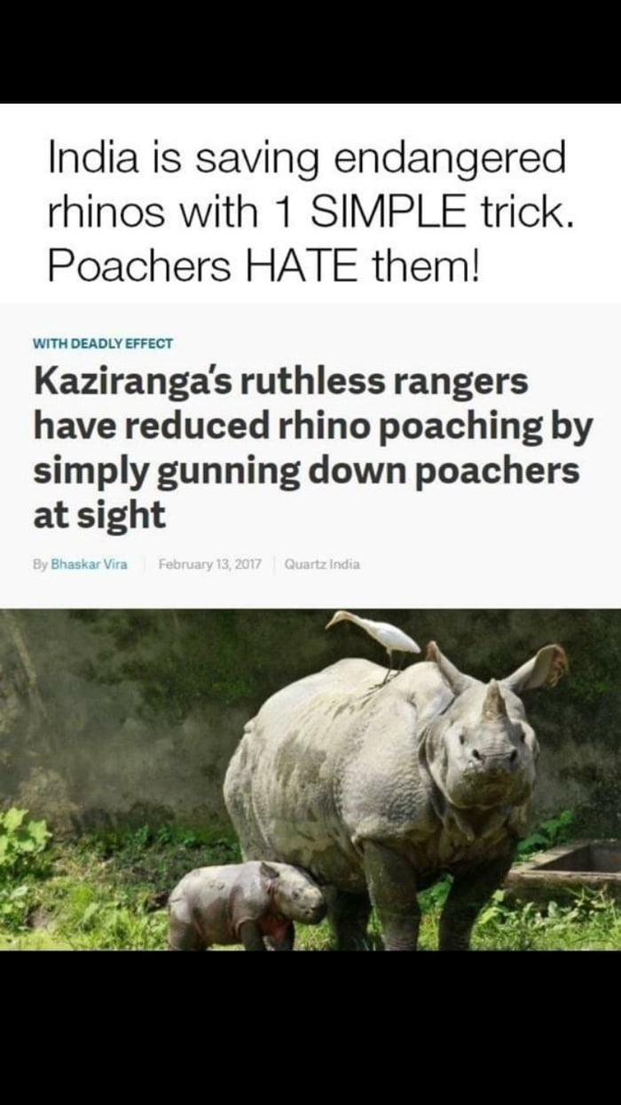 It solves everything - 9GAG