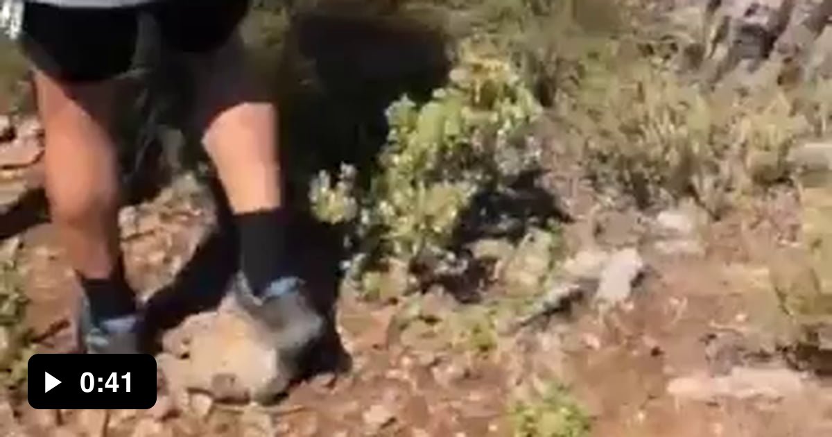 You just gotta stick with this - 9GAG