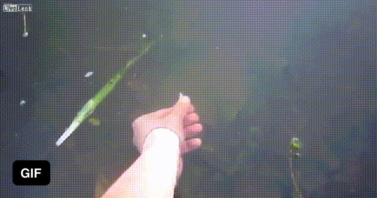 Hand-fishing tutorial - 9GAG