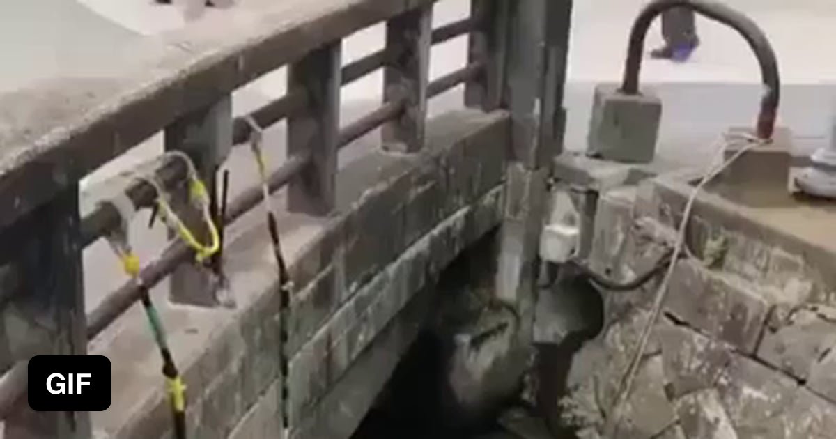 Creative problem solving - 9GAG