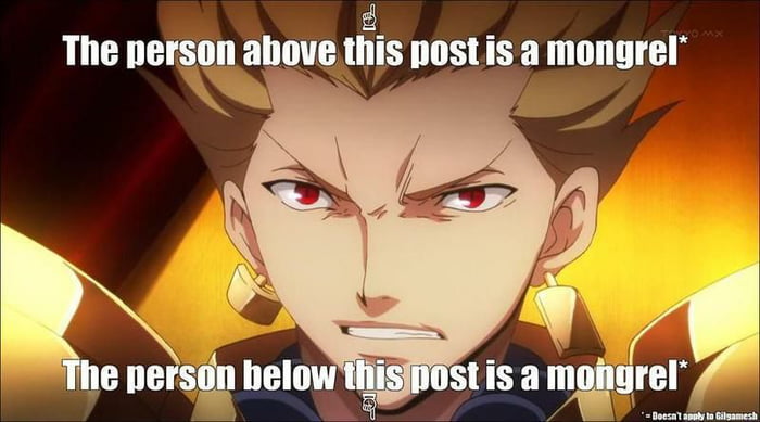 Damn Mongrels - 9GAG