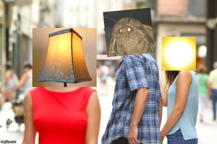 Ya'll got any more of them f**kin' lamps?! - 9GAG