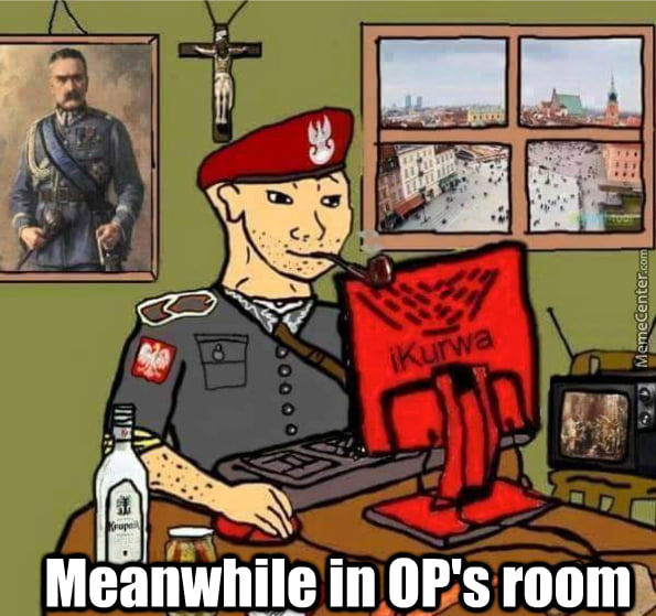 So I was wondering what kind of poland memes I could find on google ...