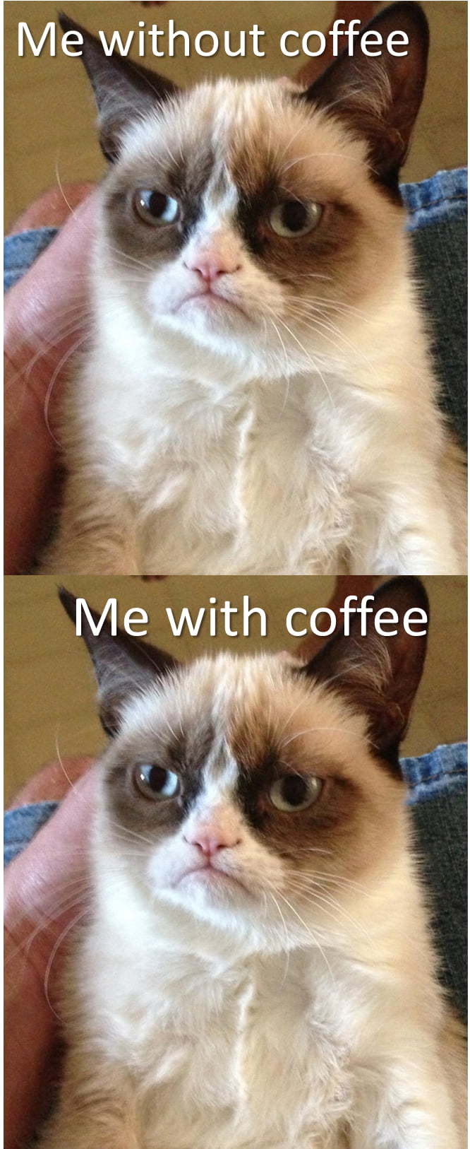 Me without coffee - 9GAG