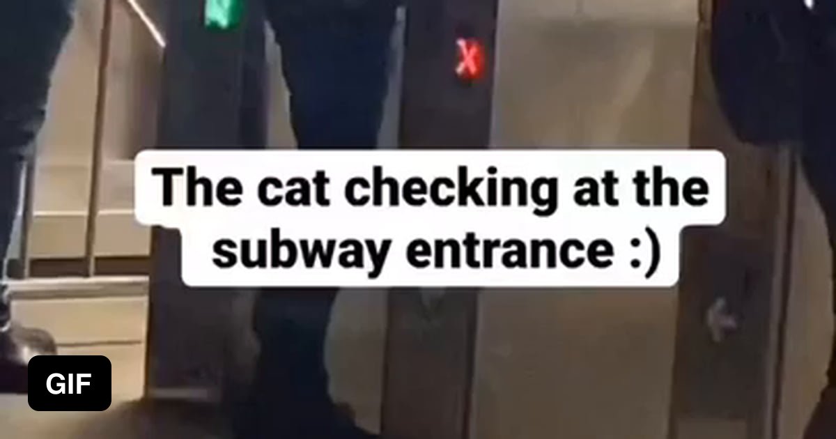 Life as subway security - 9GAG