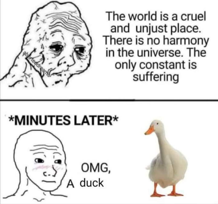 Duck úwù - 9GAG