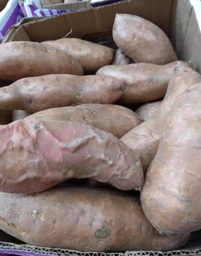 The sweet potato every woman loves - 9GAG
