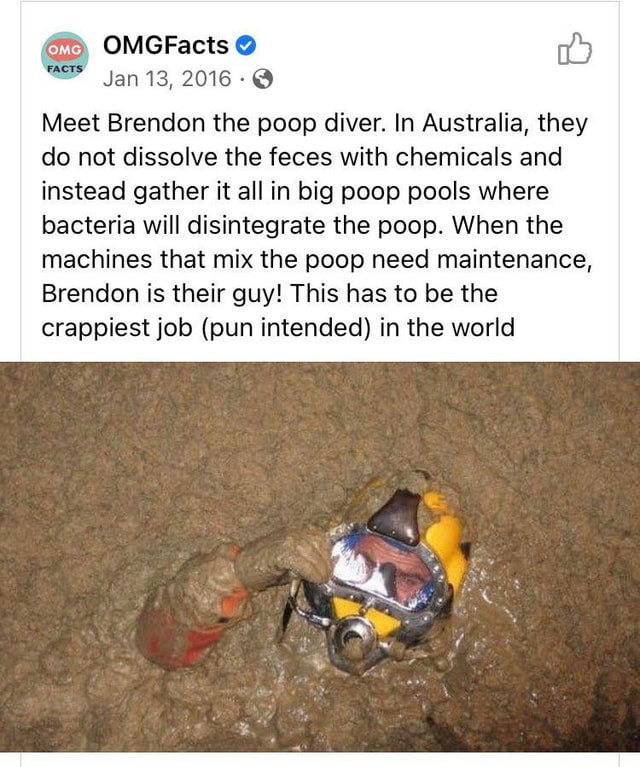 Brendon the poop diver, scourge of the plumbing - 9GAG