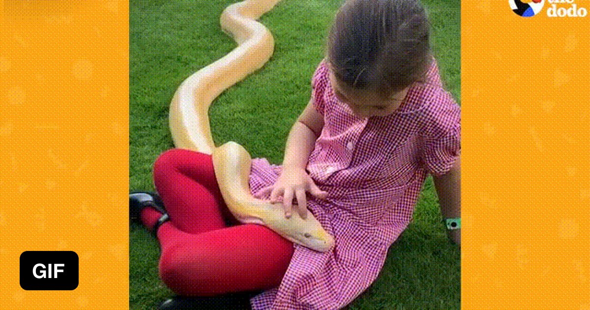 And when I try to show my 16cm anaconda to little girls, people call me ...