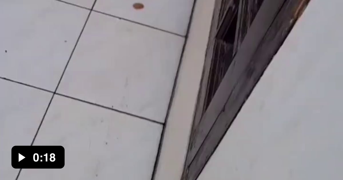 They are evolving - 9GAG