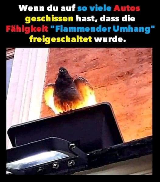 Gurru, Gurru, Gurru... - 9GAG