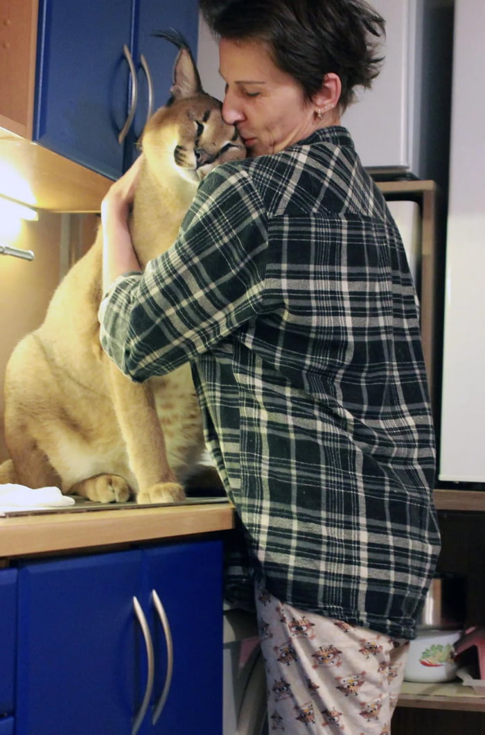 Floppa is love - 9GAG