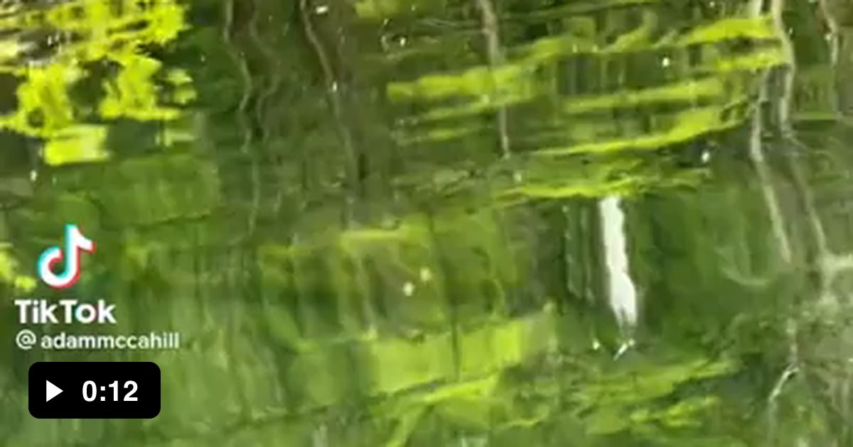 The Ancient Floater, Guardian of the Lake. - 9GAG