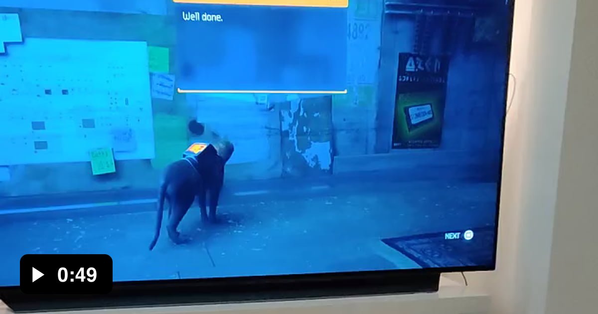 Looks Like Someone Is Hyped Too 9GAG