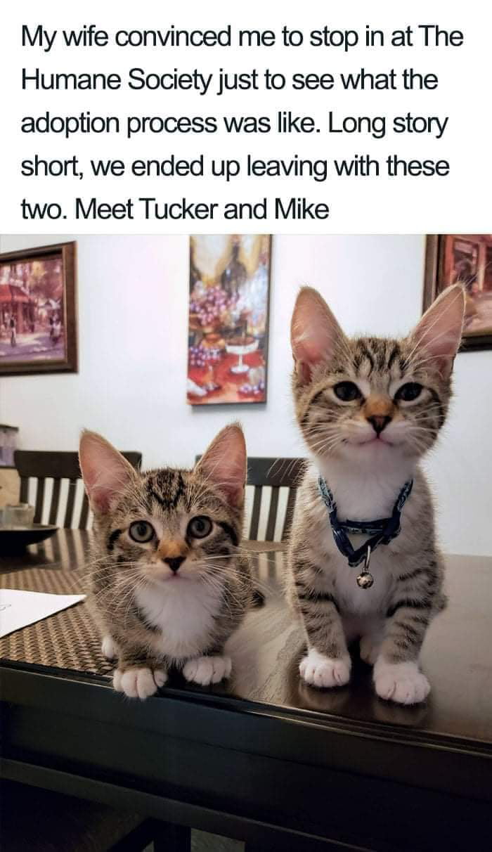 Two cuties - 9GAG