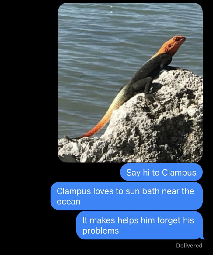 Clampus says hi - 9GAG