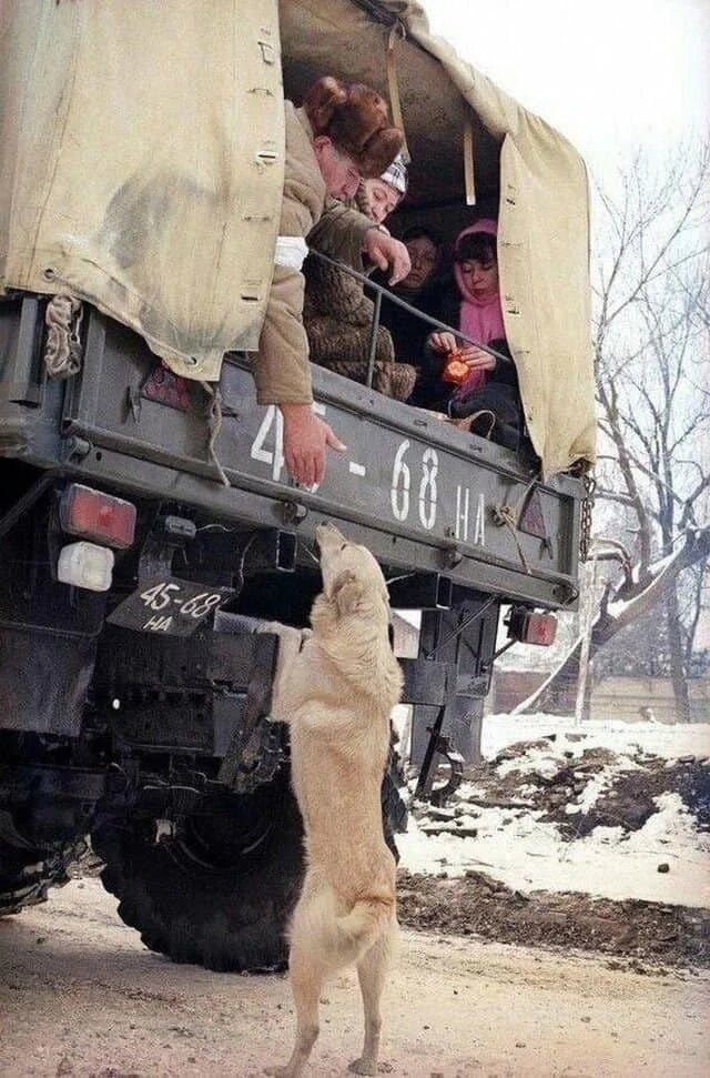 Farewell. A man says goodbye to his dog as he evacuates the battlefield ...