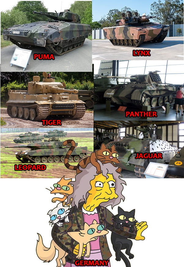Panzer kittens - 9GAG