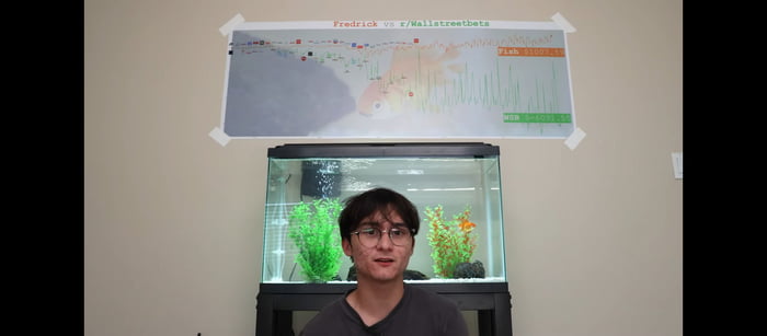 So, Michael Reeves created an algorythm that buys and sells stocks ...