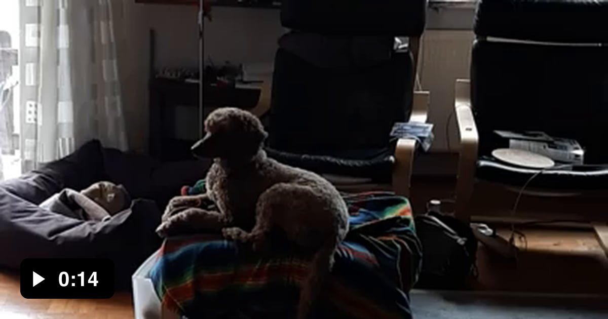 Every note becomes a tragic ballad when mom is gone... - 9GAG