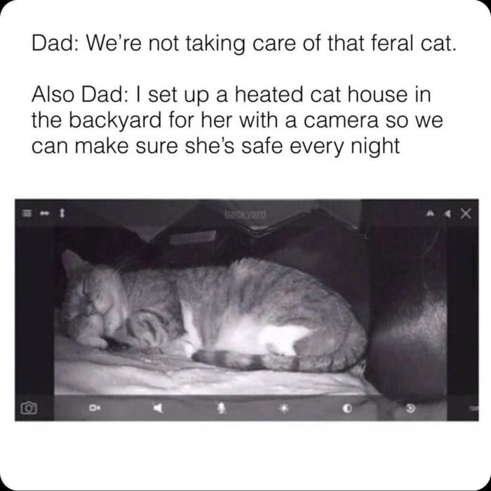 Creature comforts - 9GAG