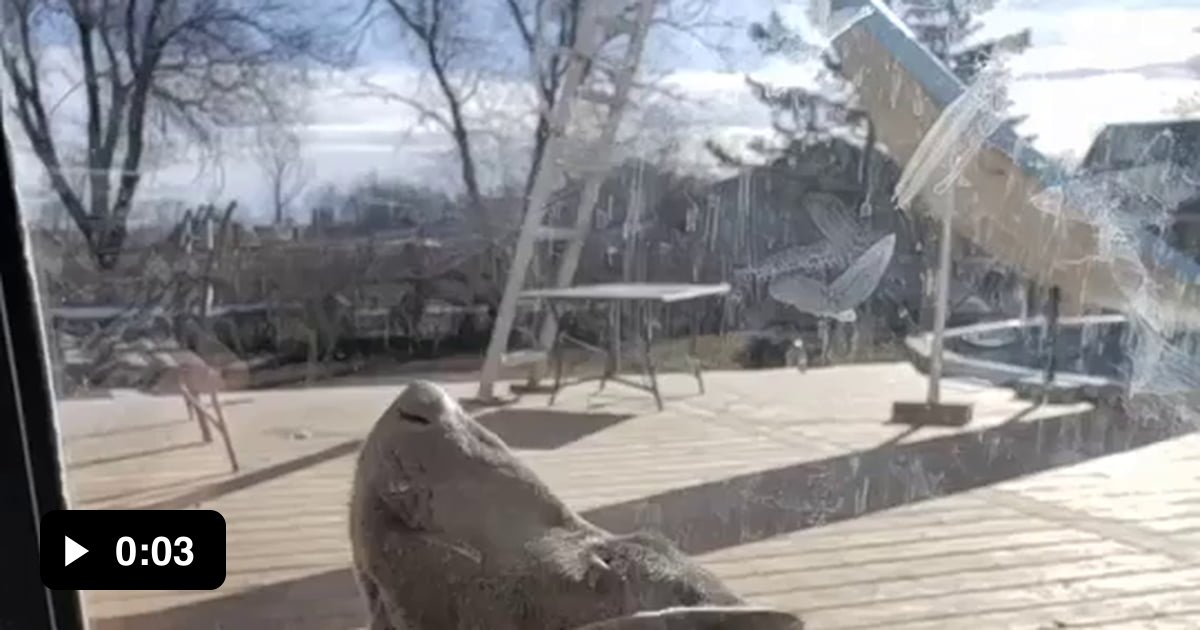 Silly Sleeper - 9GAG