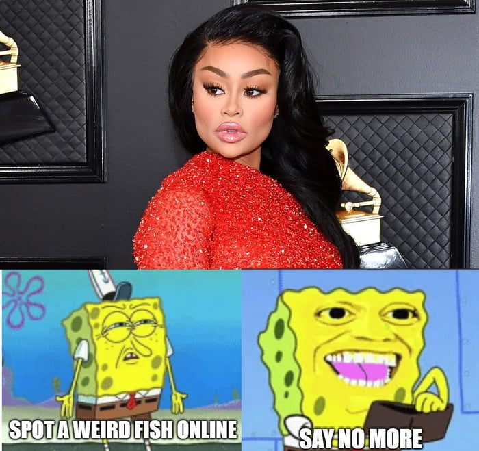 Blac Chyna reportedly made $240 million on OnlyFans last year, and became the most successful ...