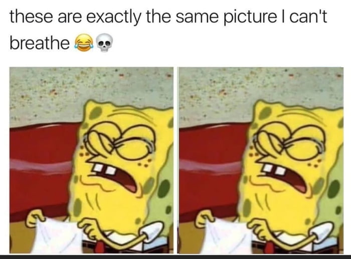 They are the same picture - 9GAG