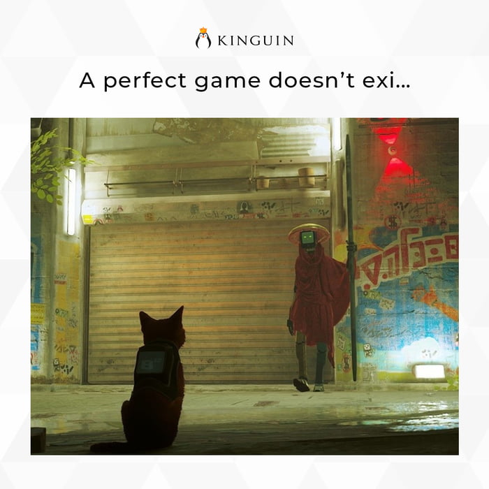 Still in love with the Stray - 9GAG