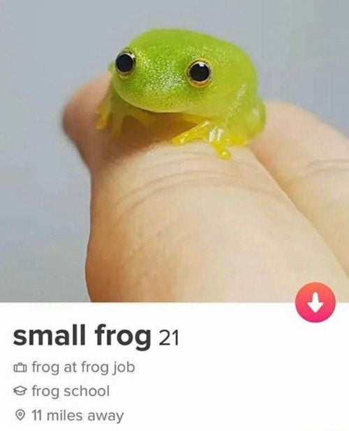 Basically very smol - 9GAG