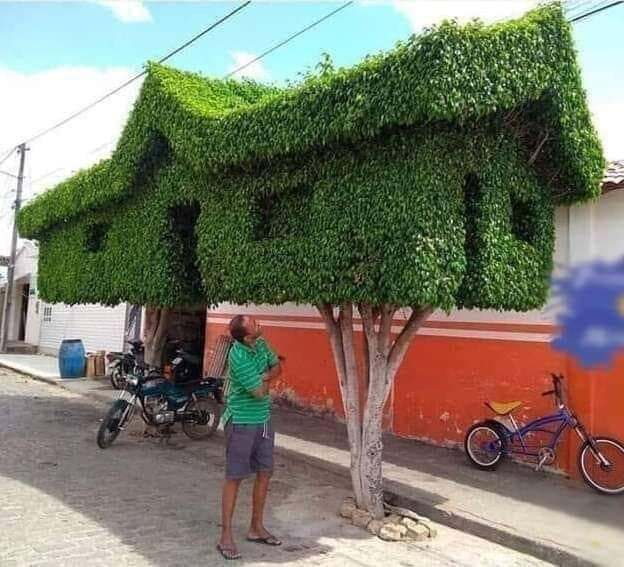 Very cool topiary. - 9GAG