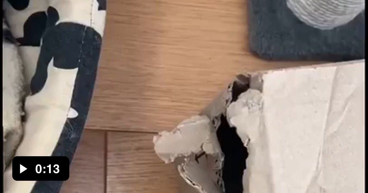 Must be cold. - 9GAG