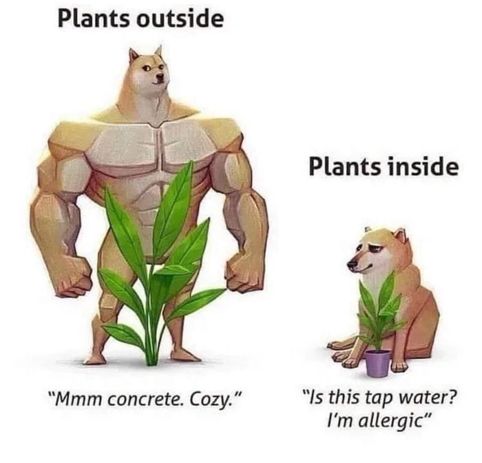 Weak plants - 9GAG