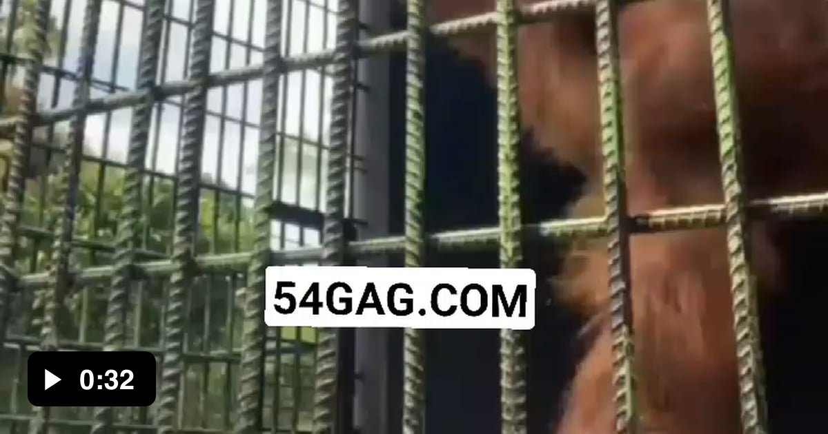 When you poke you nose into other people's business - 9GAG