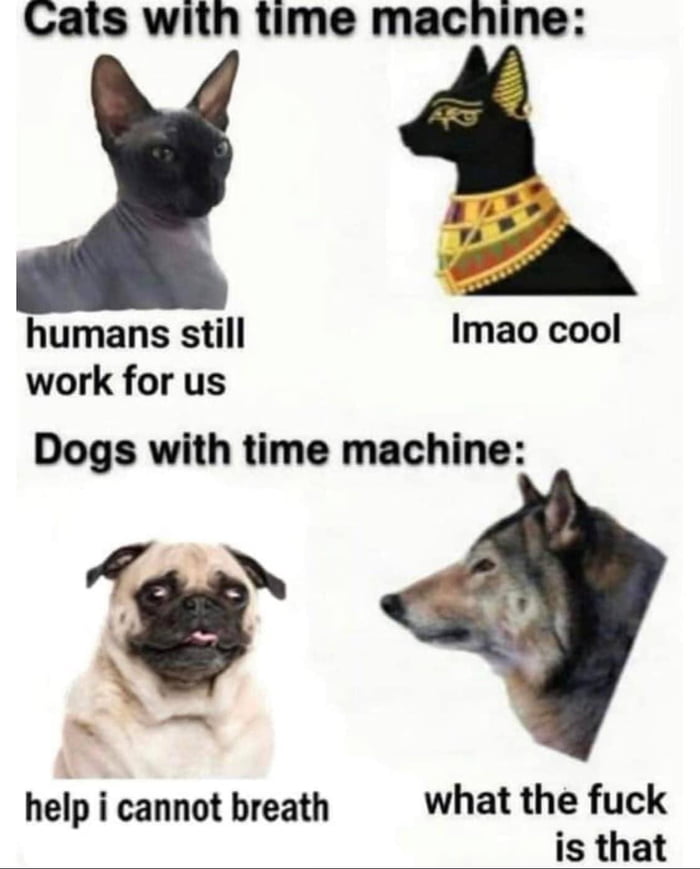 Imagine 9Gagers with time machine „what the f**k, every post unique“ - 9GAG