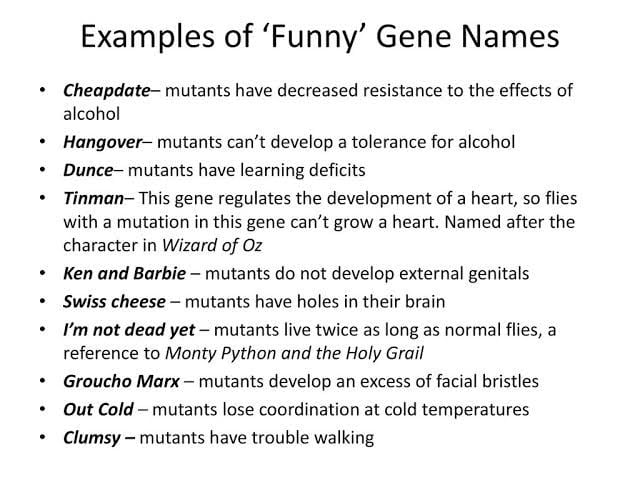 There is a tradition of giving funny names to genes. Some of them may ...