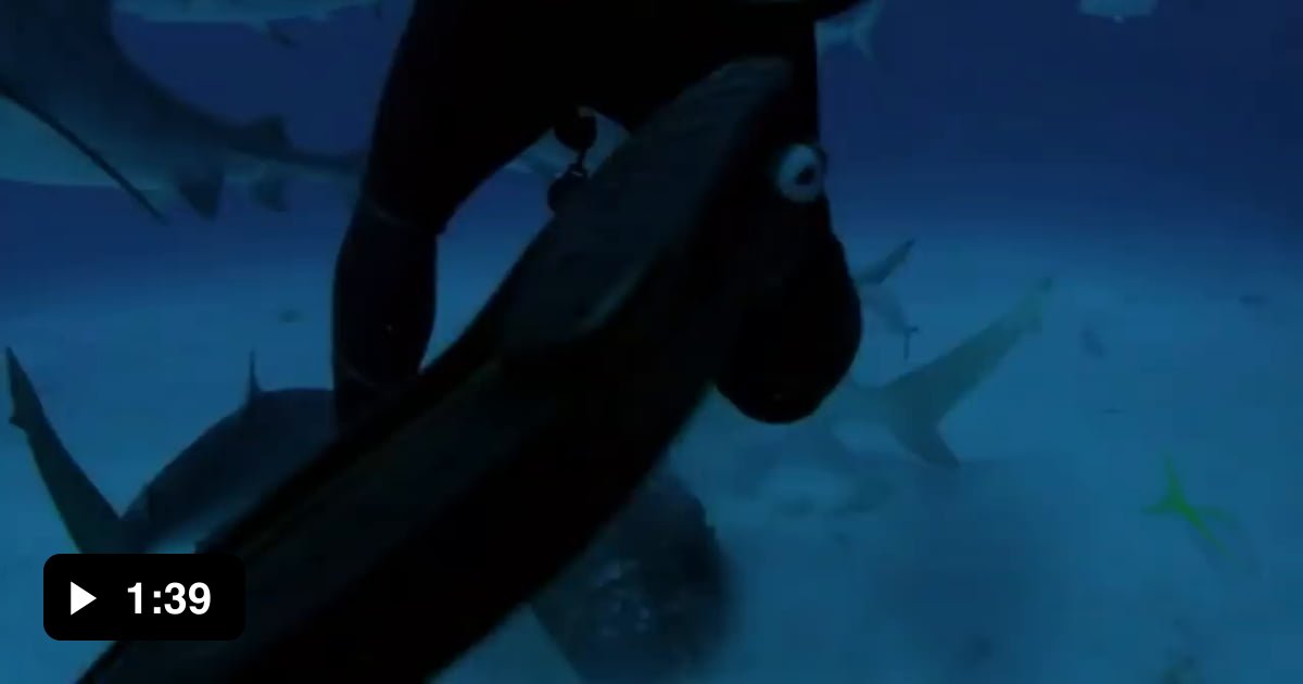 Rotating the Shark - 9GAG